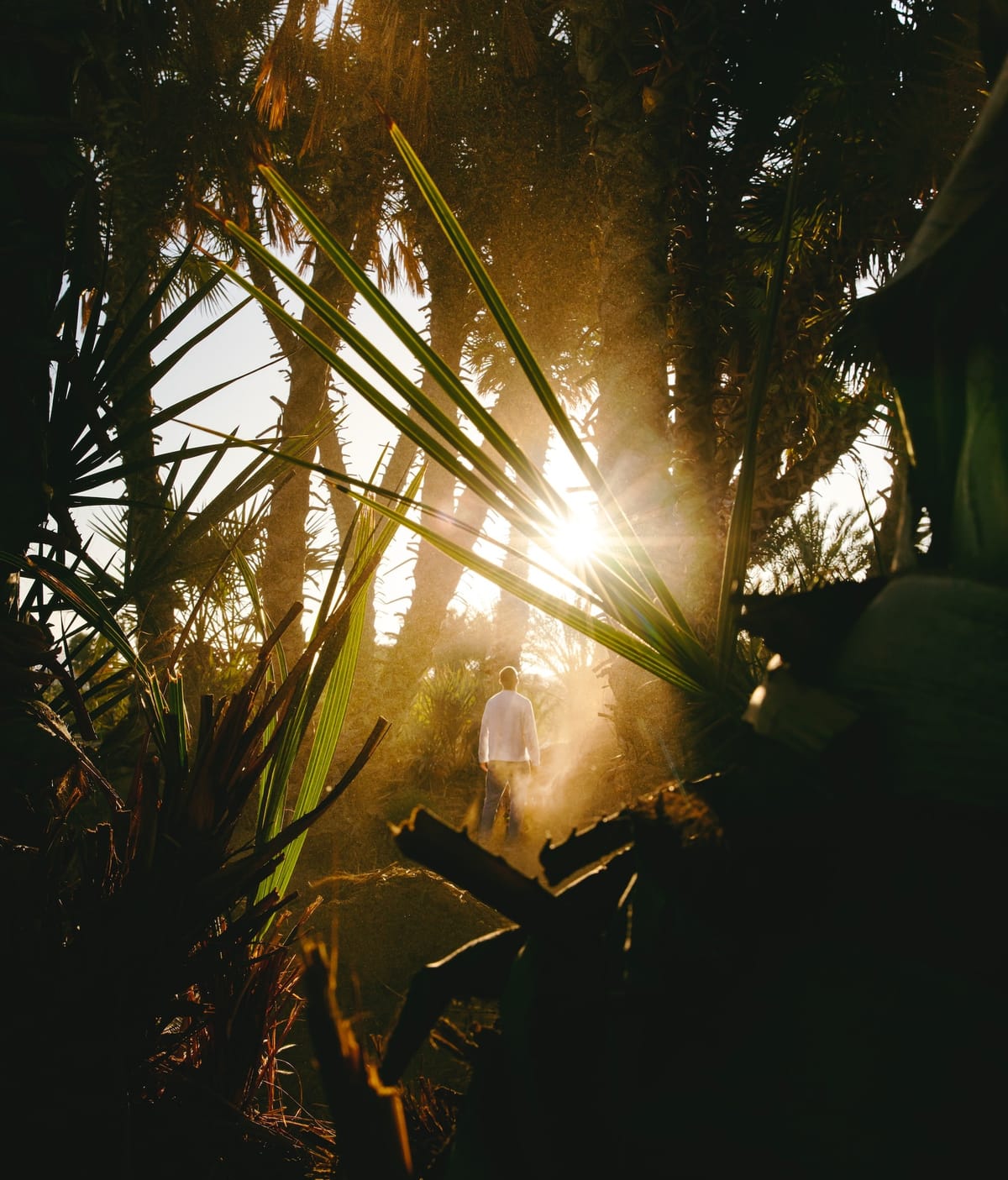 What is the Shadow Self & Shadow Work?